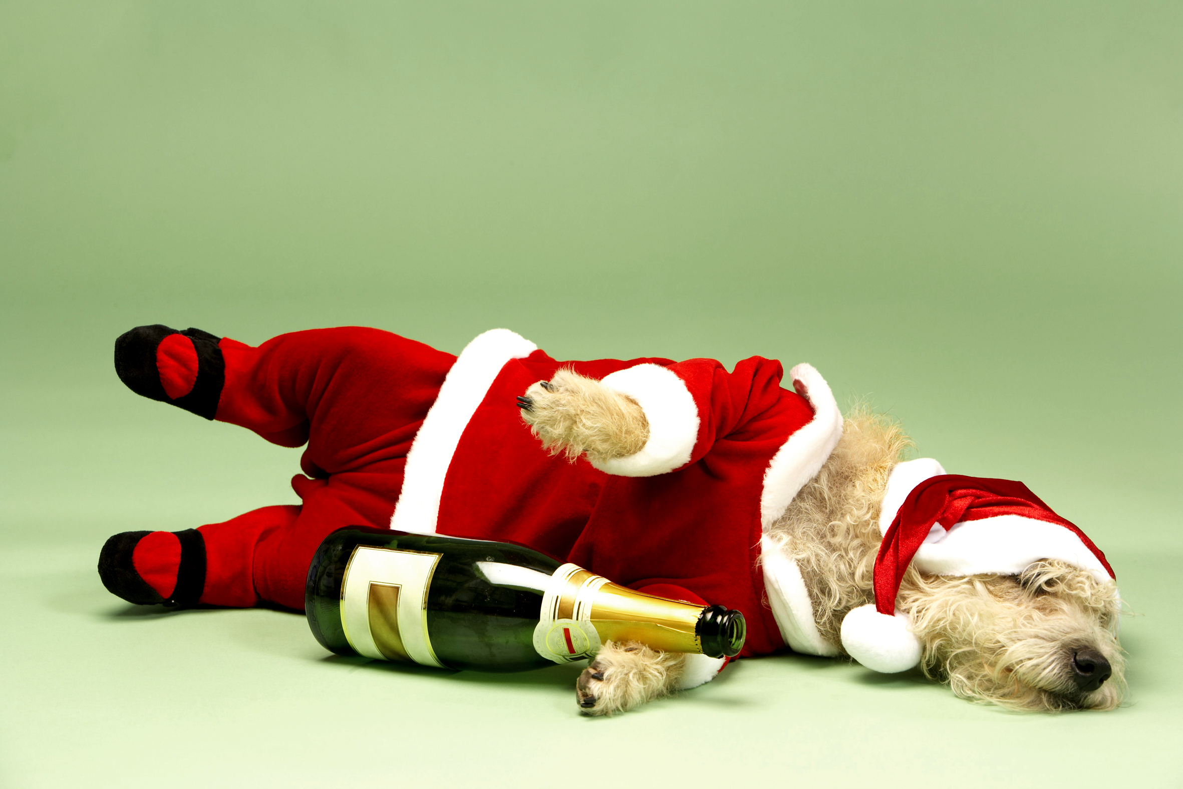Drink Responsibly During The Festive Season Health Jamaica Gleaner drink-responsibly-during-the-festive-season-health-jamaica-gleaner